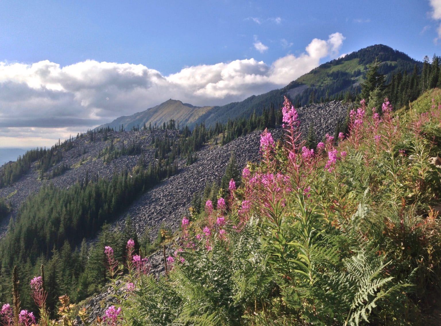 Bandera Mountain – Hesperos Flown