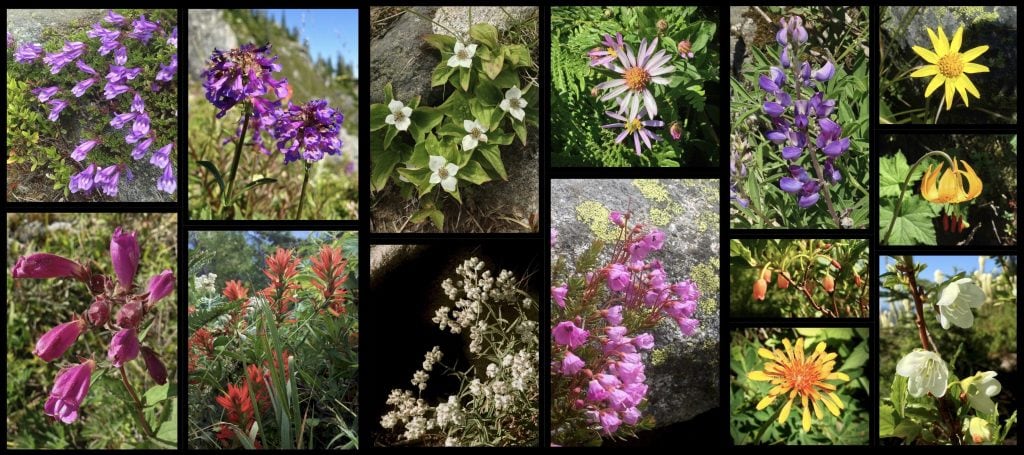 Bandera Mountain – Hesperos Flown