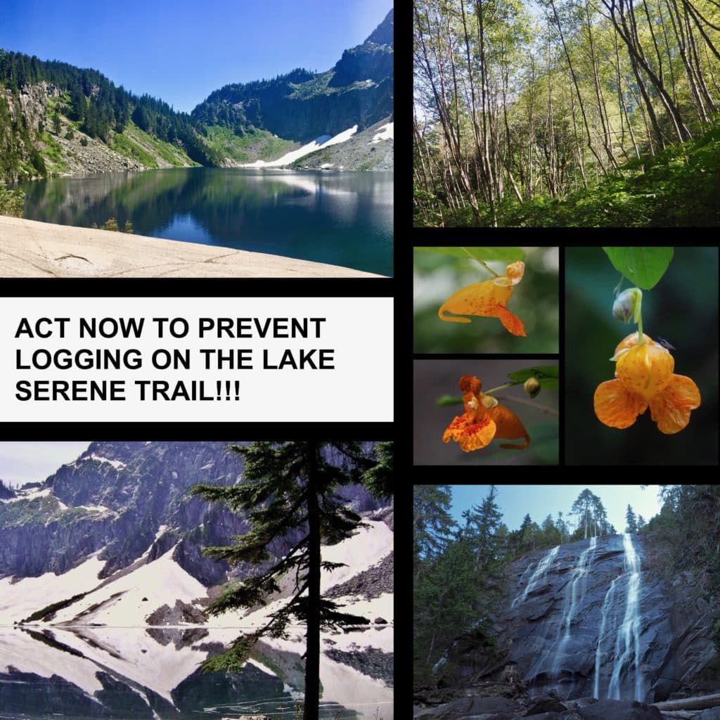 Saving the Lake Serene Trail: For Nature, People, and Communities ...