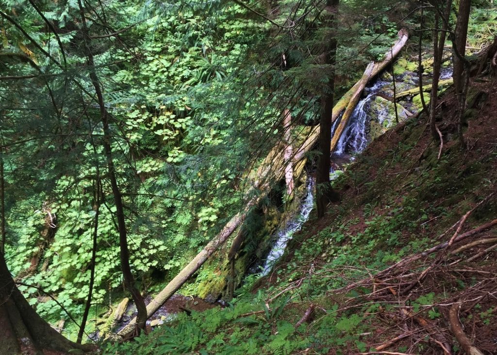 Marymere Falls, Barnes Creek, and the Aurora Divide – Hesperos Flown