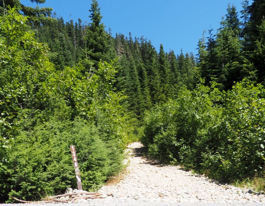 Mount Catherine – Hesperos Flown