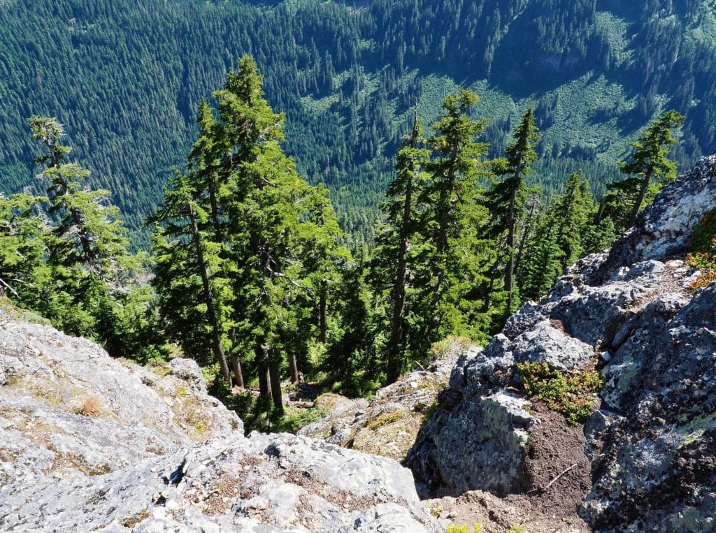 Mount Catherine – Hesperos Flown