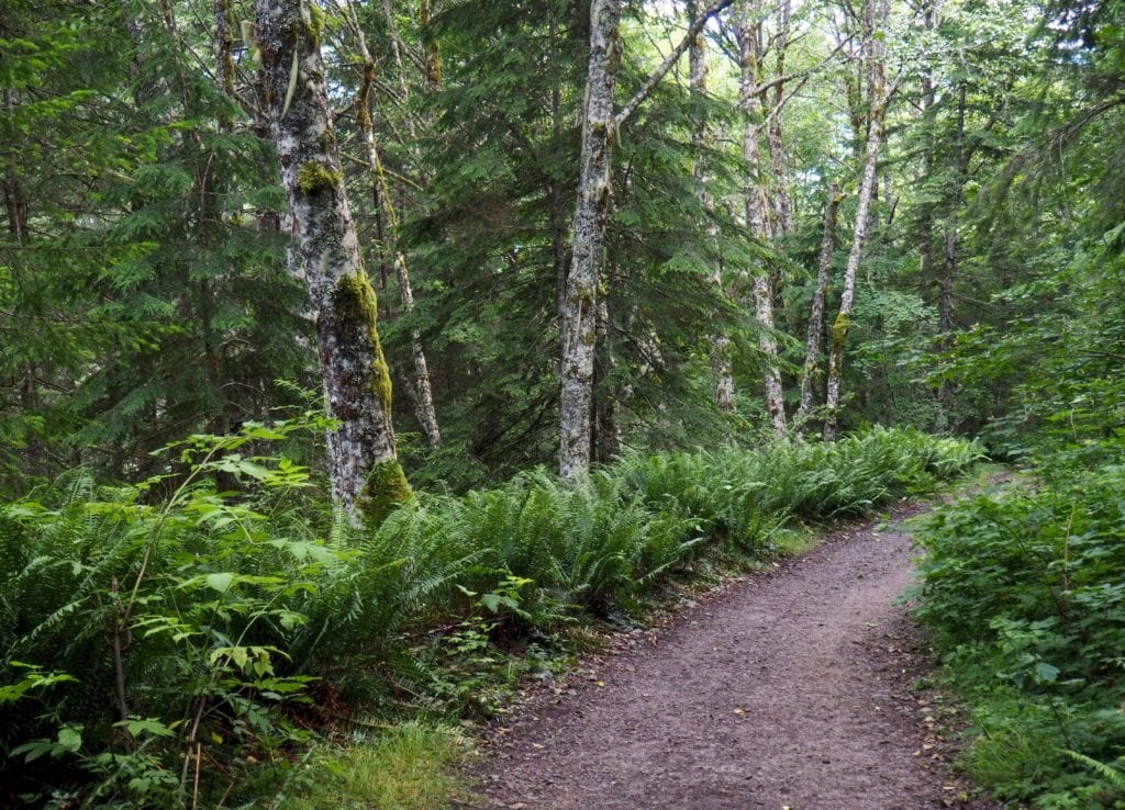 Mason Lakes, Rainbow Lake, and Island Lake (Ira Spring Trail ...