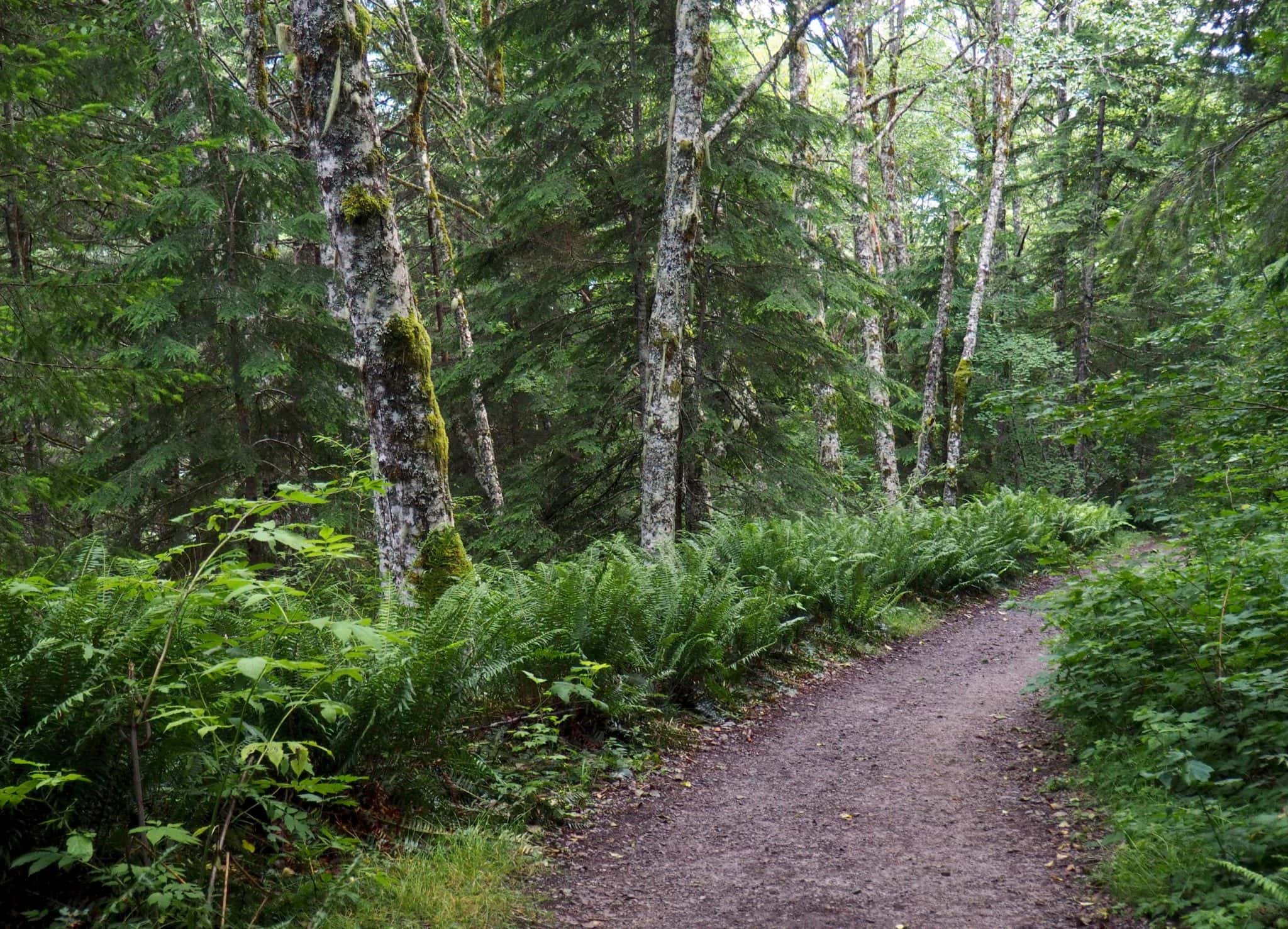 Mason Lakes, Rainbow Lake, and Island Lake (Ira Spring Trail ...