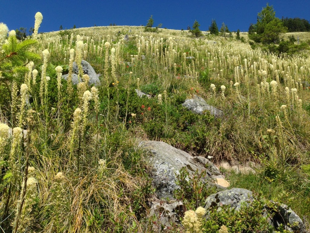 Bandera Mountain – Hesperos Flown