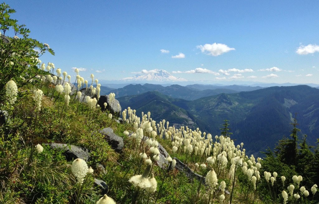Bandera Mountain – Hesperos Flown