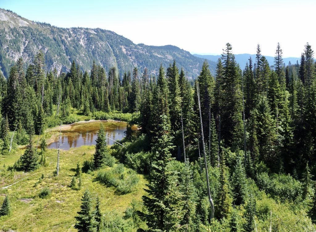 Bench Lake and Snow Lake (Mt. Rainier National Park) – Hesperos Flown