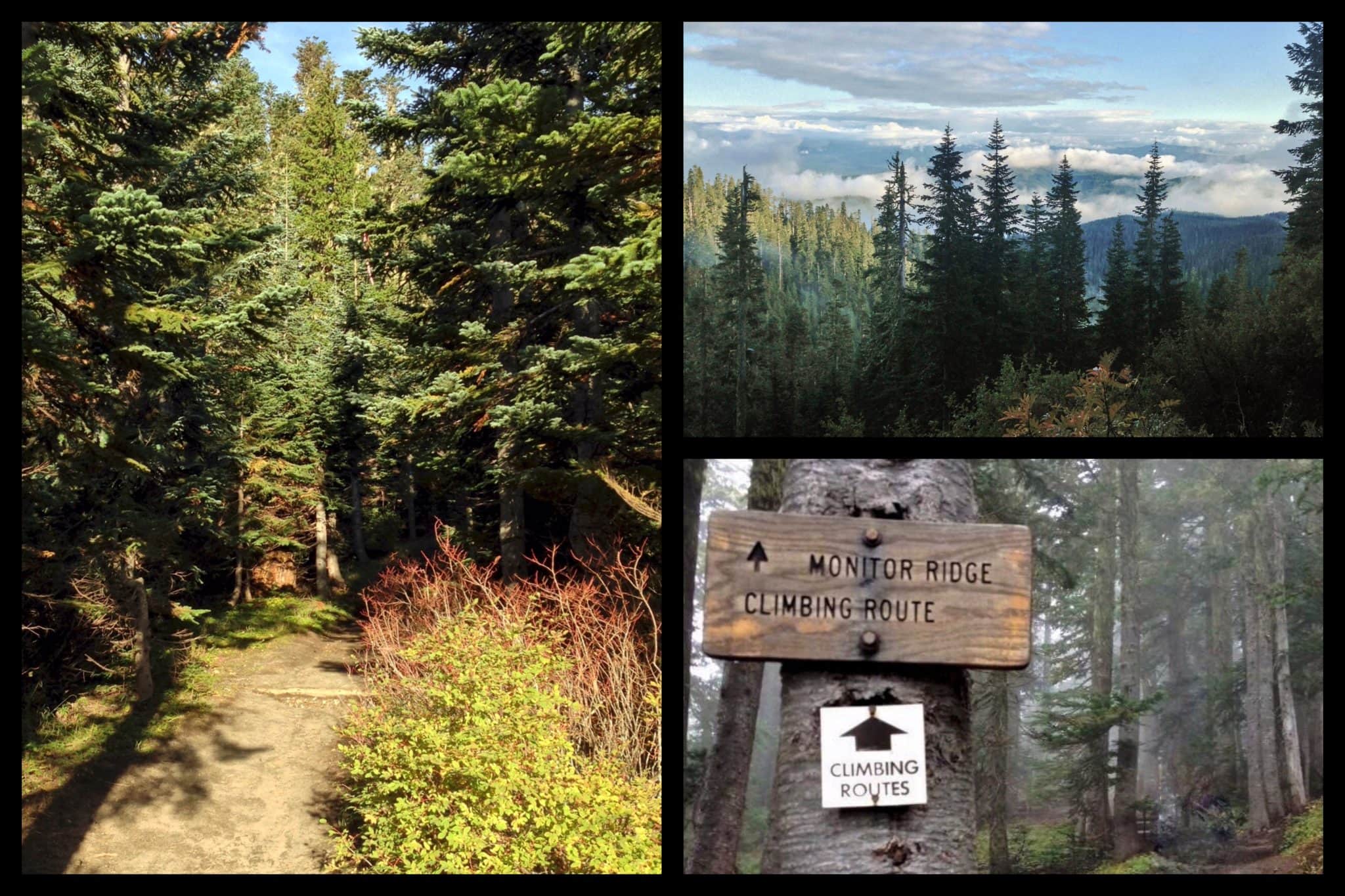 Mt. St. Helens (Monitor Ridge Climbing Route) – Hesperos Flown