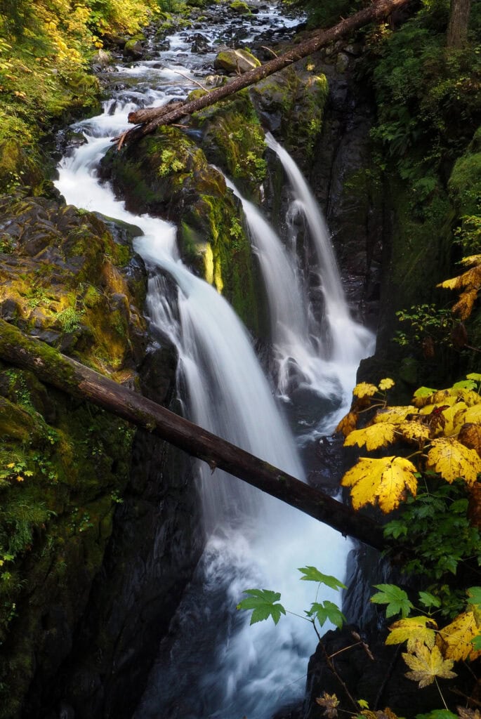 Sol Duc Falls, Lover’s Lane Loop, Deer Lake, and Mink Lake – HesperosFlown